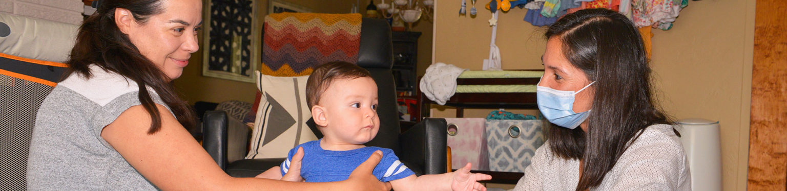 HV ECECD – ECLN Portal